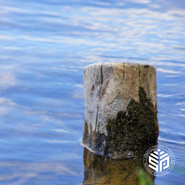 Wood in water: Learn which wood is best to use.