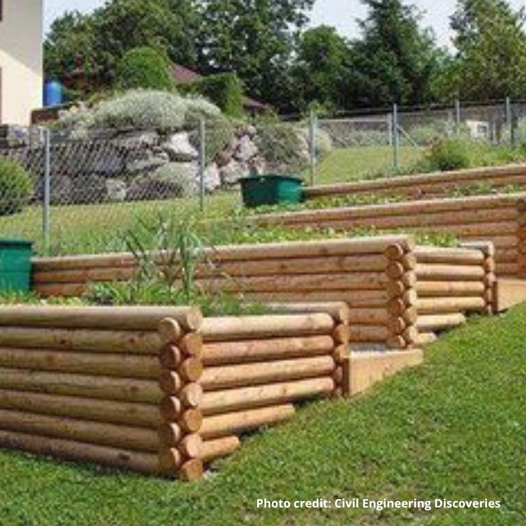 CCA Gum Poles: Learn Its True Values.