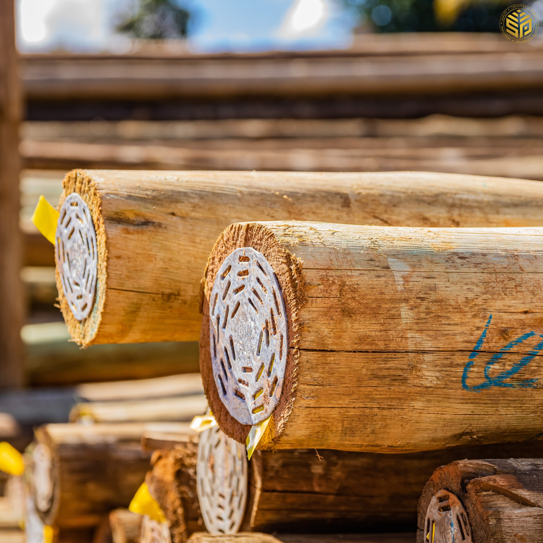 CCA Gum Poles: Learn Its True Values.
