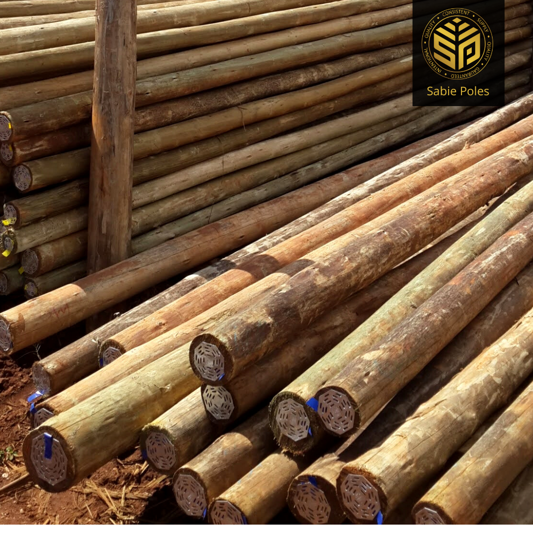 CCA Pressure-Treated Poles: Ensure A Fruitful Harvests