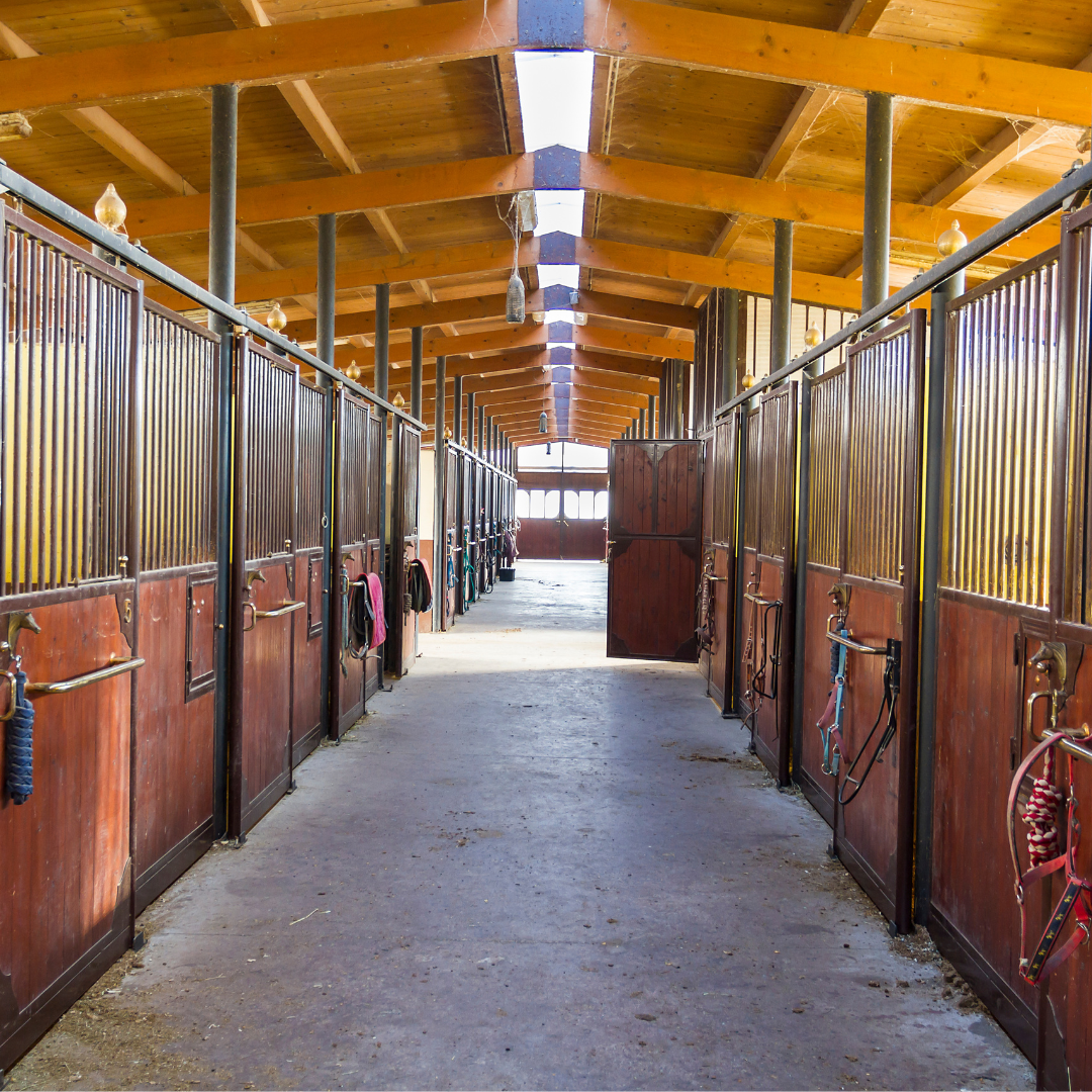 Timber Horse Stable: Choose the best material to construct with.