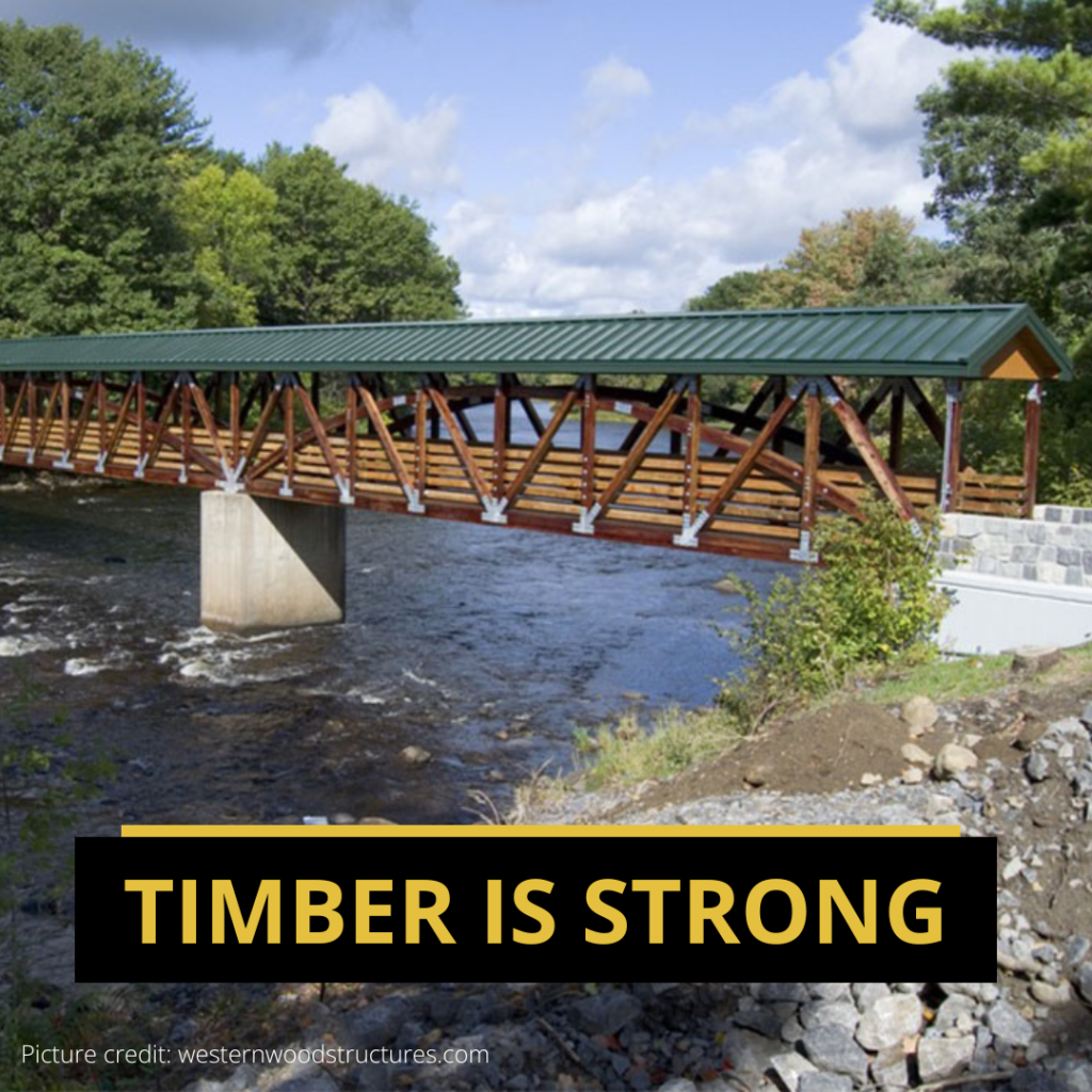 Construction Timber: Addressing 3 Widely Believed Myths