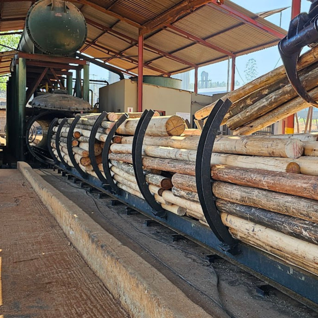 CCA Poles: Durable, Treated Timber Poles for Long-Lasting Use